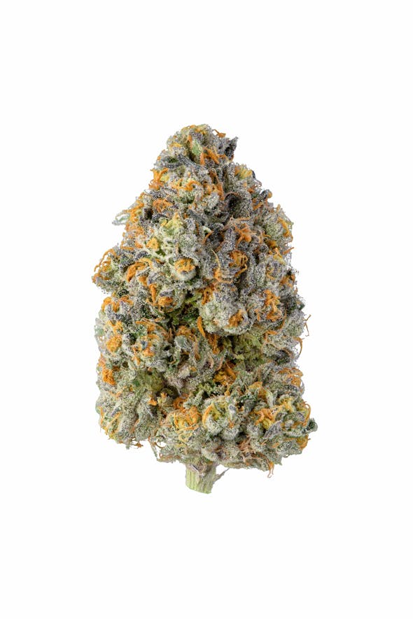 Baby Turtle Weed Strain Information | Leafly